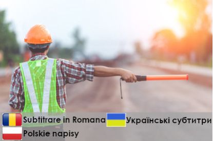 Traffic Marshal | Digital College